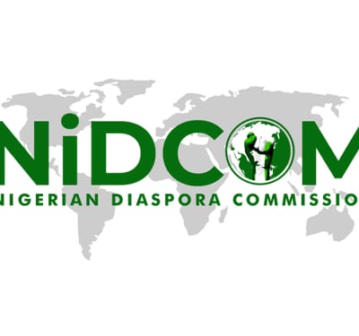 NIDCOM Celebrates Nigerian Excellence Abroad | SpringStar Magazine